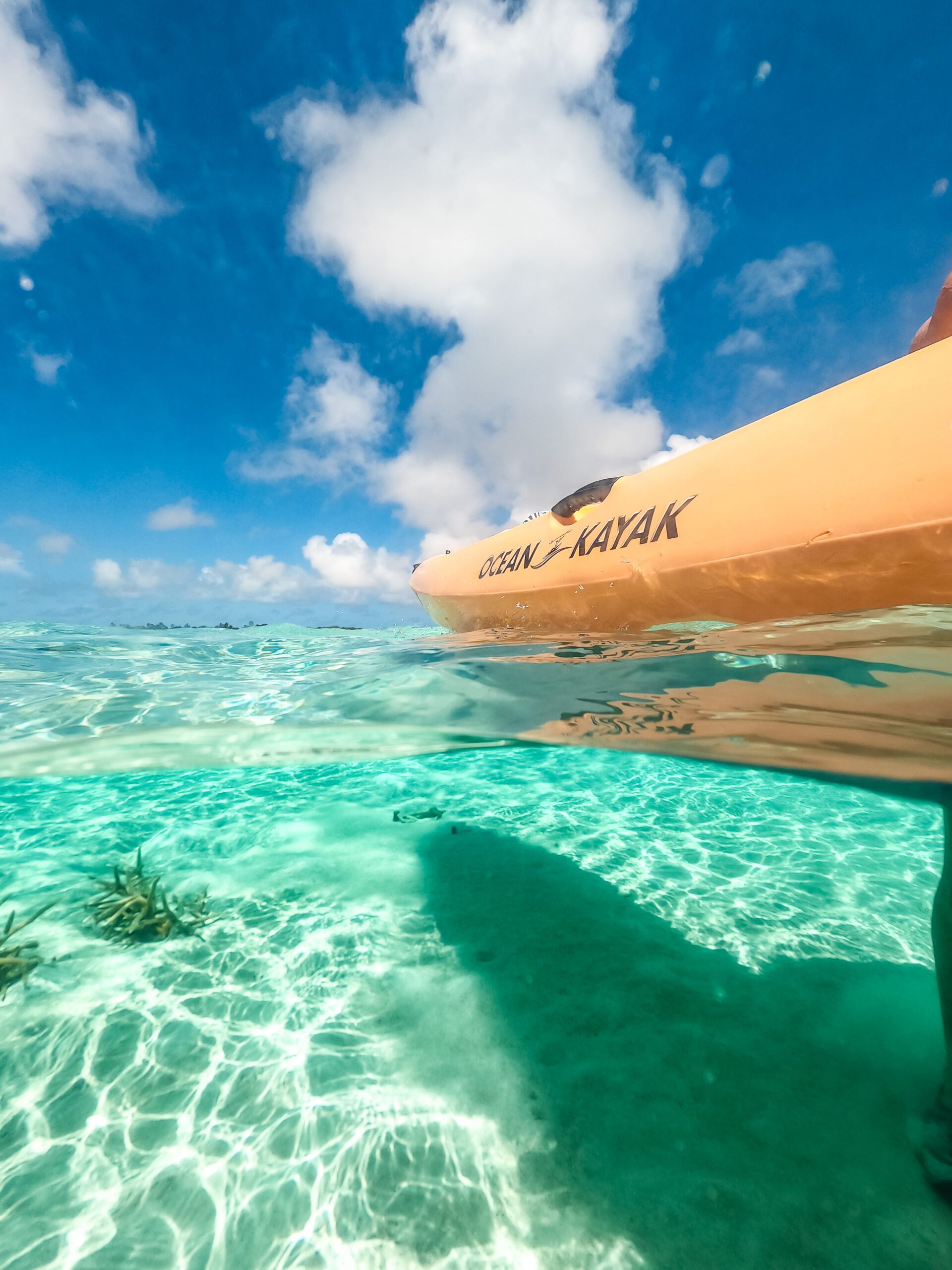 TOP things to do in Bonaire when NOT scuba diving - CHRISTINE LOZADA
